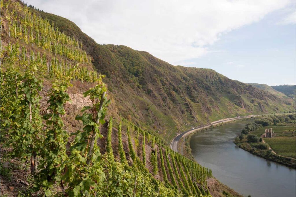 World’s Most Extreme Vineyards: Nature's Winemaking Wonders - Wine & More