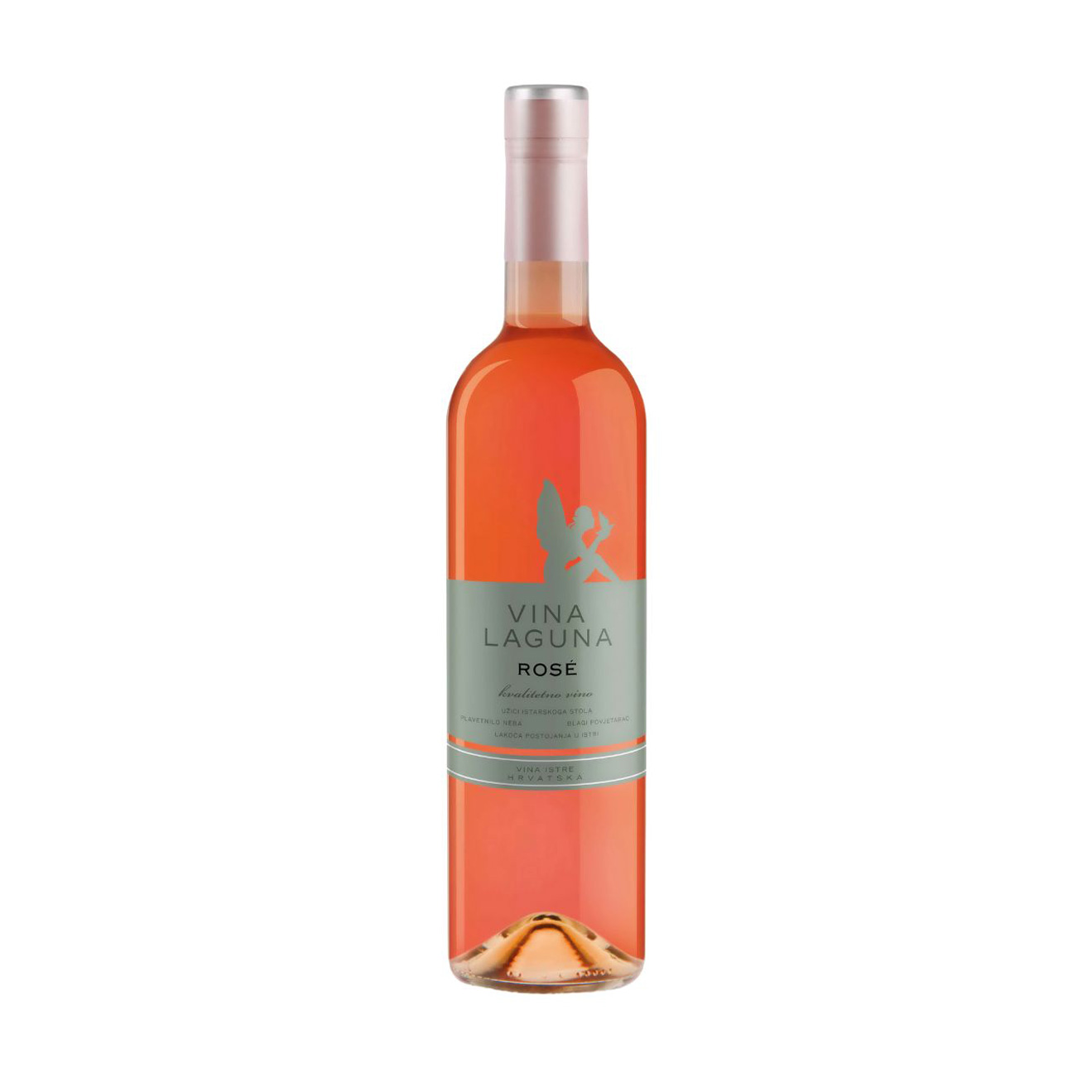 Vina Laguna Rose 2021 - Wine & More